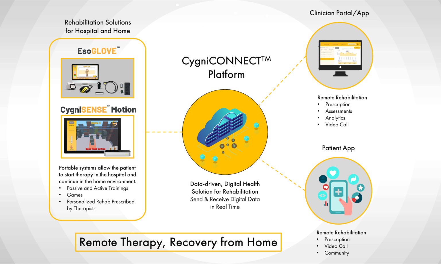 Roceso Technologies - Robotic Rehabilitation and Digital Health